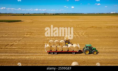 Above lateral view on excavator as loading straw bales on trailer, tow ...