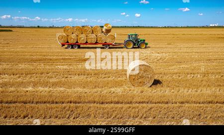 Above lateral view on excavator as loading straw bales on trailer, tow ...