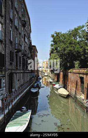 Scenic Shot of Water Canal in Paddy Fields, Malaysia Stock Photo - Alamy