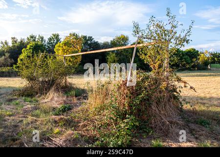 old and rusty football goal covered by bushes on an abandoned football ...