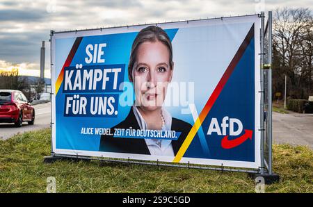 Albbruck, Germany, 12th Jan 2025: The campaign poster of Federal ...