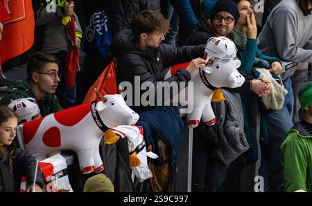 Czechia fans cheer on their team during the World Cup Group A soccer ...