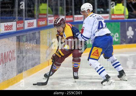 Leon Muggli #41 (EV Zug) - 11.10.2024 - National League, Regular Season ...