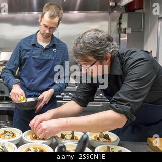 Professional Chefs Focus on Preparing Exquisite Dishes in Modern ...