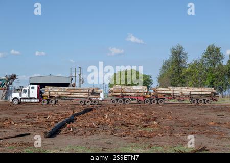 Natural resource and building material wood as natural construction ...
