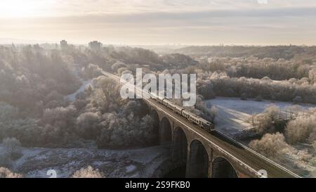 Aerial, Reddish Vale country park with the landmark viaduct and the ...