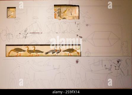 Egyptian Museum Cairo, mastaba of Nefermaat, chapel of Itet, Maidum ...
