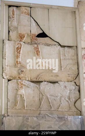 Egyptian Museum Cairo, reliefs coming from the Rahotep mastaba, in the ...