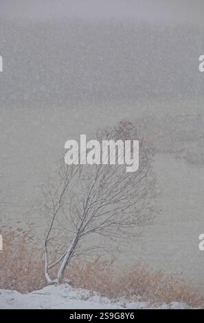 VIEW ON THE BANKS OF THE TIGRIS. The Tigris River is the eastern member ...