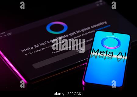 Meta AI logo is being displayed on a mobile phone with Meta AI app seen ...