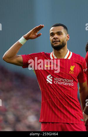 Liverpool's Cody Gakpo celebrates after scoring the opening goal during ...