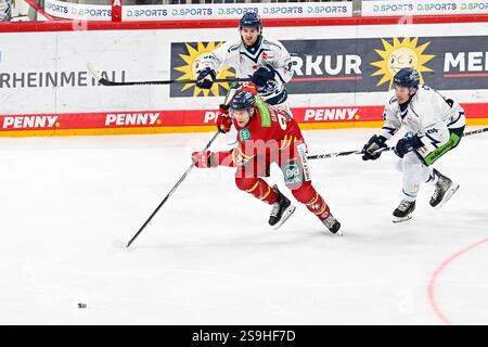 Josh Melnick (Straubing Tigers, #37) / Portrait / Portrait GER, EHC Red ...