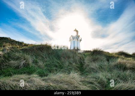 The iconic Waipapa Point Lighthouse emerging above the tussock covered ...