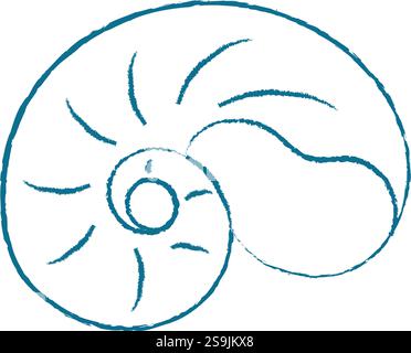 Chalk Seashell Silhouette Stock Vector Image & Art - Alamy