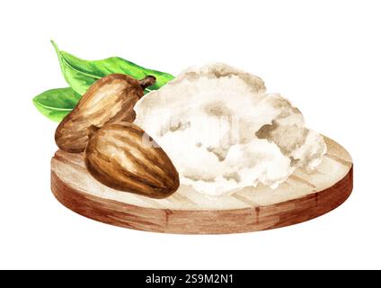 Shea butter with nuts. Watercolor real hand drawn illustration ...