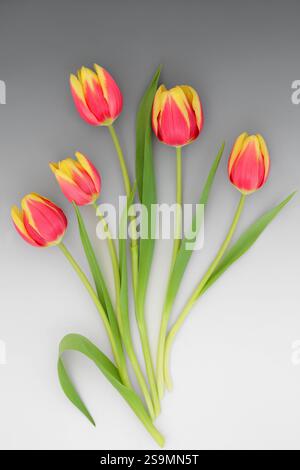 Happy easter tag on red Stock Photo - Alamy