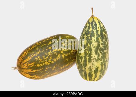 Vegetables, Two cucumbers Madras on a white background Stock Photo - Alamy