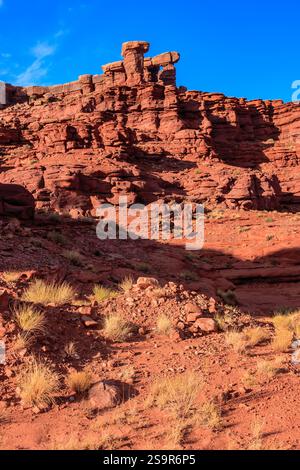 Grass covered with colorful red, orange and yellow leaves in autumn ...
