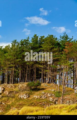 Traeth Llanddwyn a beach near Newborough National Nature Reserve on the ...