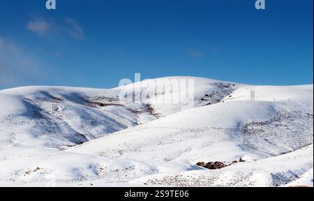 January 20, 2025: A strong arctic air mass brings frigid temperatures ...