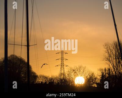 Yacht masts in Abingdon Sailing Club, midwinter sunrise. Big, orange ...