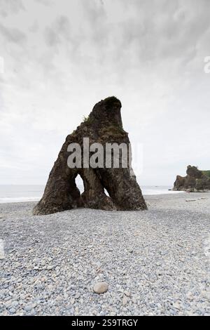 a sea stack at Caon beach Stock Photo - Alamy