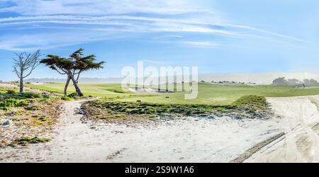 scenic coastline at Joe's point at highway No. 1 in California, USA ...