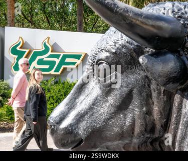 University of Southern Florida in Tampa Bay - USF logo and bull statue ...