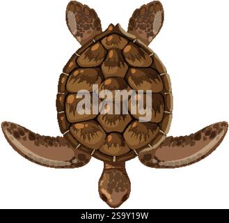 Illustration of a sea turtle from above Stock Vector Image & Art - Alamy