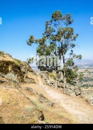 The trail leading up to the Monsanto Castle (Castelo de Monsanto) in ...