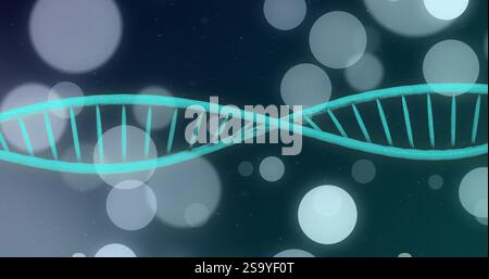 Image of spots and shapes over dna strand Stock Photo - Alamy