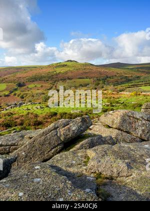 Yar Tor, Dartmoor National Park Stock Photo - Alamy