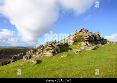 The granite outcrop of Sharp Tor in Dartmoor National Park, Devon ...