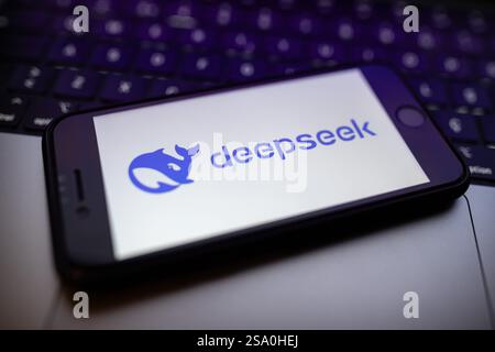 Turkey. 27th Jan, 2025. In this photo illustration, the DeepSeek logo ...