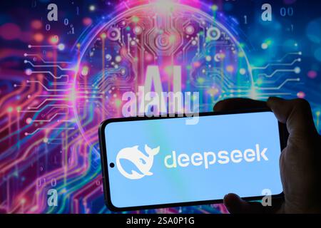 The DeepSeek logo is being displayed on a mobile phone, seen in this ...