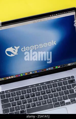 DeepSeek Chinese AI (artificial intelligence) application was installed ...