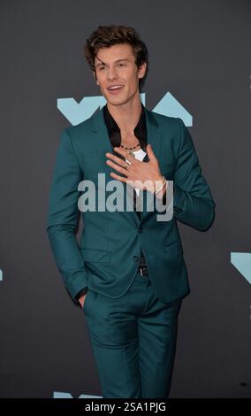 Shawn Mendes arriving on the red carpet at the 2019 MTV Video Music ...