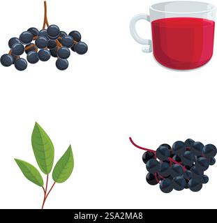 Elderberry syrup icons set cartoon vector. Black elderberry syrup in ...
