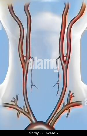 Arterial vascularization of the neck Stock Photo - Alamy