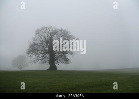Posforth Gill Waterfall in the Valley of Desolation, Whafedale ...