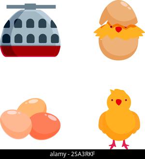 Chicken life cycle. Hatching and growing process of chicken. Stages of ...