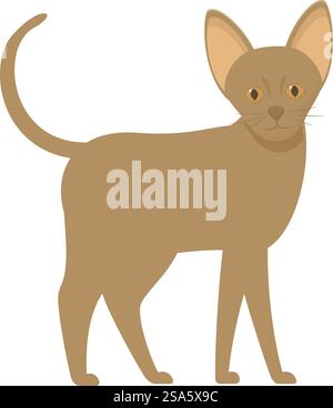 Abyssinian cat is standing gracefully with its tail raised, showcasing ...