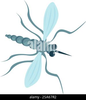 Big grey mosquito spreading malaria flying insect with wings and long ...