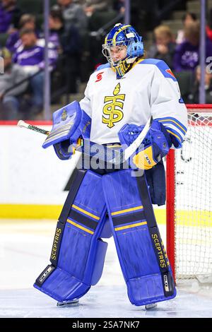Toronto Sceptres goalie Raygan Kirk looks on during PWHL hockey ...