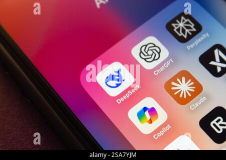 DeepSeek and other AI services icons are displayed on an iPhone ...