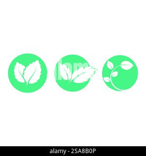 Mint leaves flat vector color icon template Stock Vector Image & Art ...