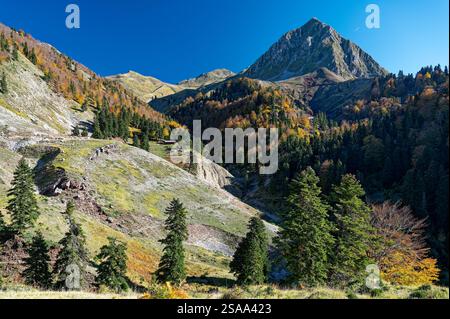 Landscape at the area of the Agrafa Mountains in Central Greece Stock ...