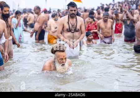 Mahakumbh, Group of holy naga sadhu baba taking holy dip at sangam in ...
