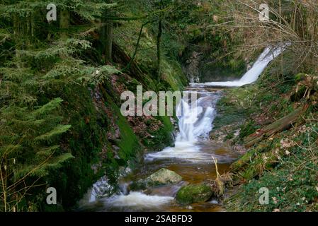 Majestic Allerheiligen Waterfalls: Powerful Cascades Over Mossy Rocks ...