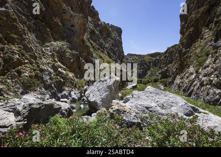 River flows through the Kourtaliatiko Gorge, Preveli Beach, south coast ...